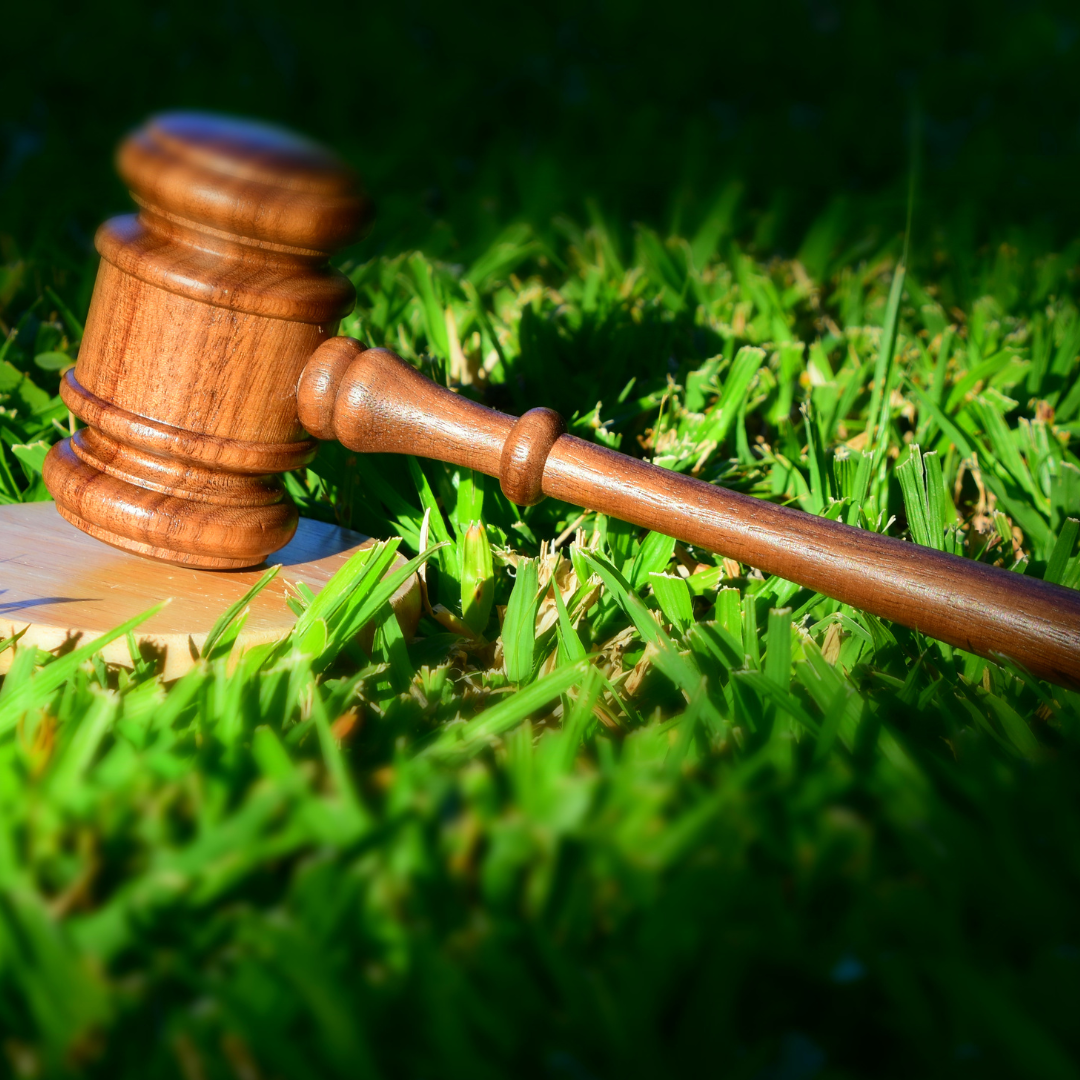 Irish Planning Institute welcomes establishment of new High Court ...