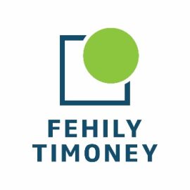 Senior Town Planner - Fehily Timoney and Company - Irish Planning Institute